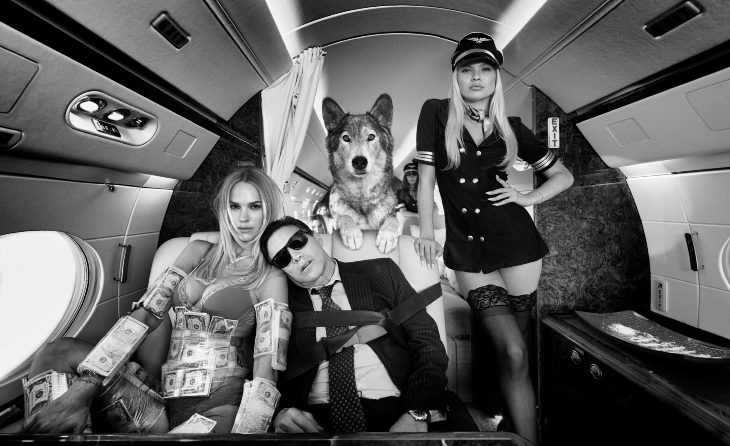 David Yarrow: Flight - CAMERA WORK