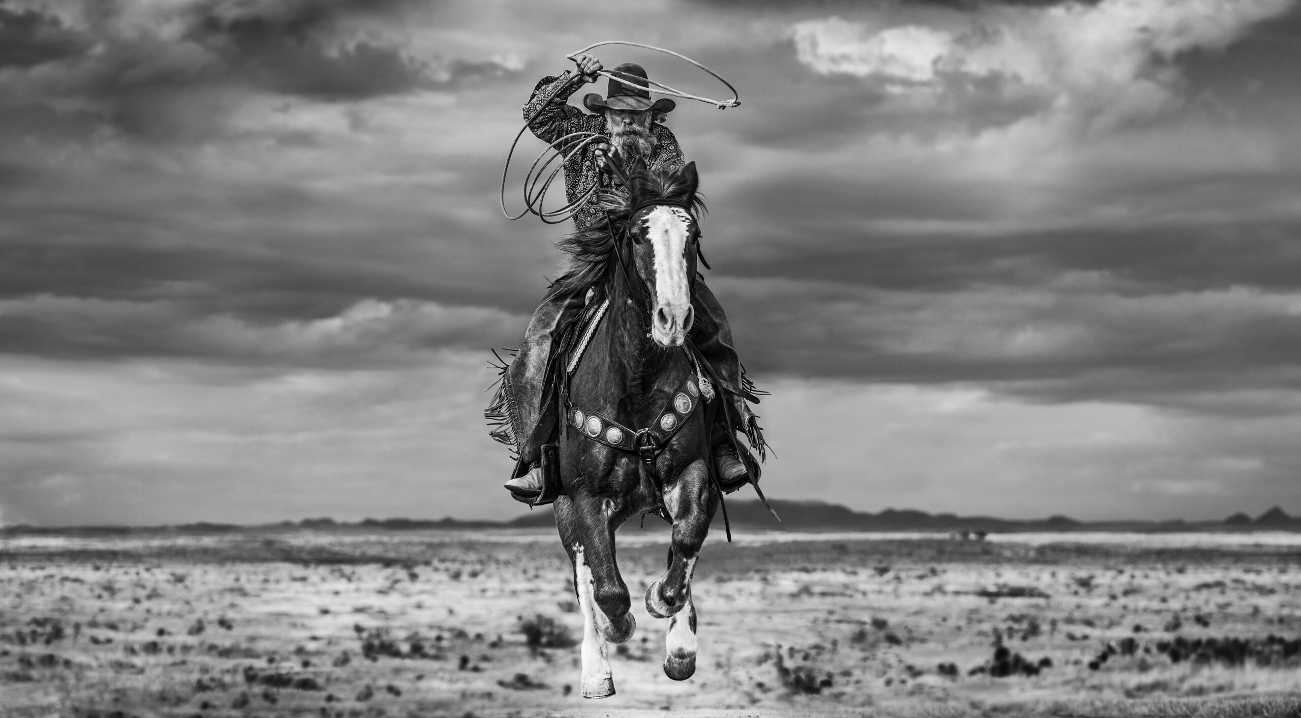 David Yarrow: Wonder - CAMERA WORK