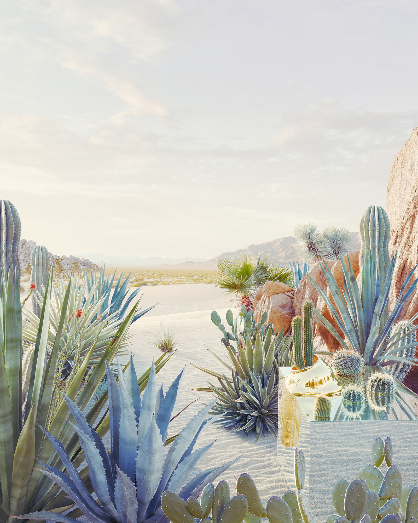 Dean West: Still Life # 1 - CAMERA WORK