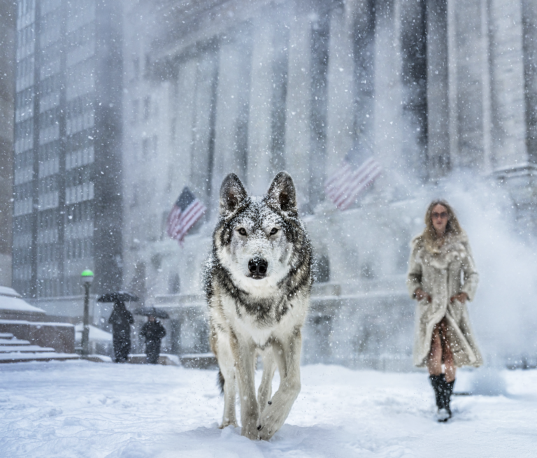 David Yarrow: Wall Street Stories (Colour) - CAMERA WORK